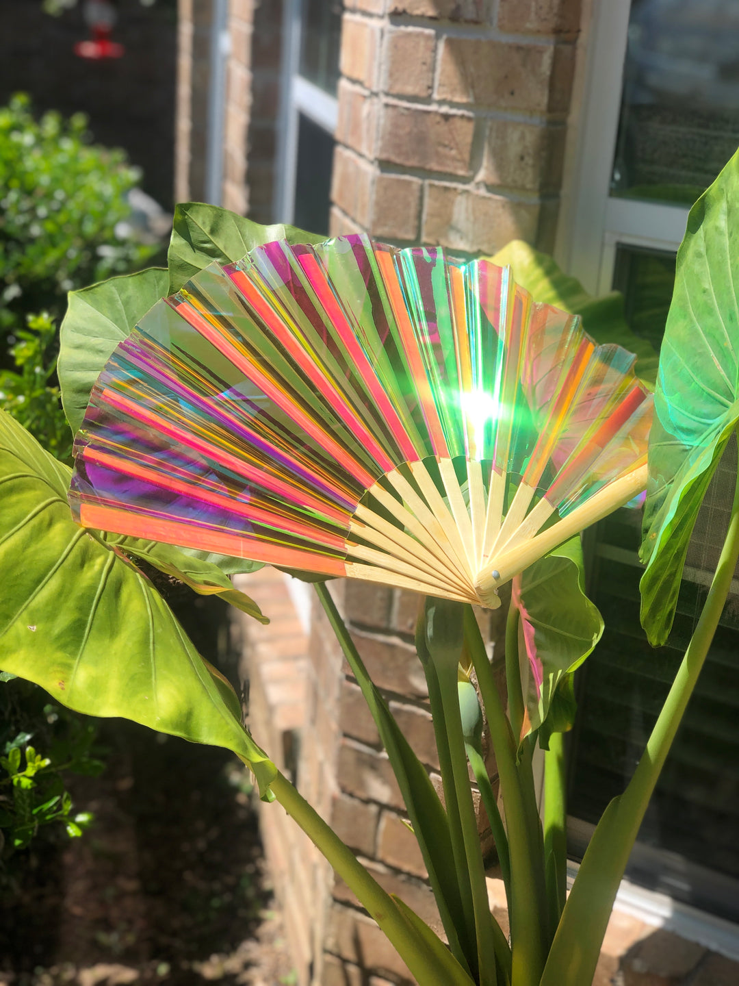 Glam Fans – Twenty103 Sunglass Suite